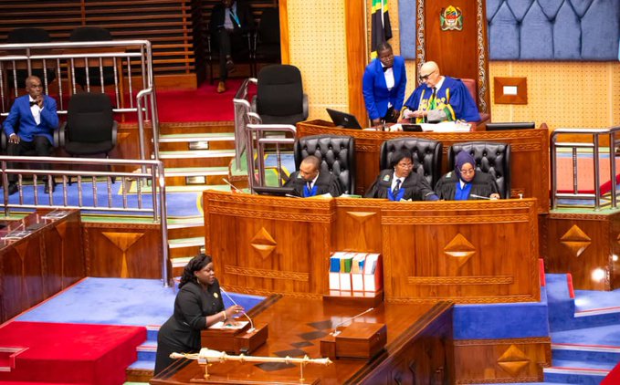 NAIBU WAZIRI JUDITH KAPINGA ATAJA VIGEZO VYA ZIADA UPELEKAJI UMEME ...